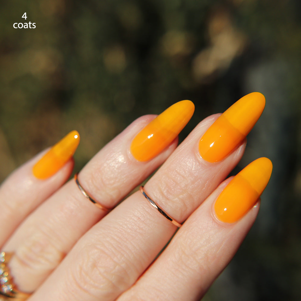 Sheer Tint Orange – EmilydeMolly
